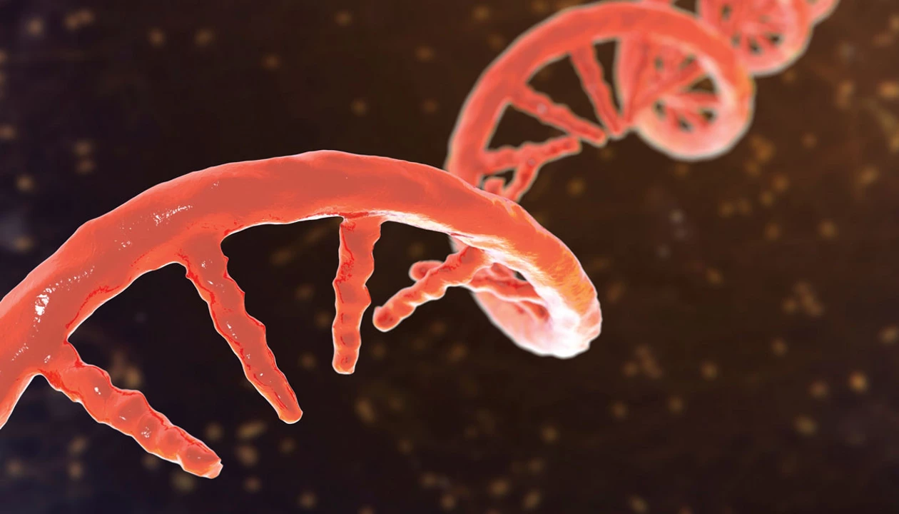 AI-based program designs new mRNA