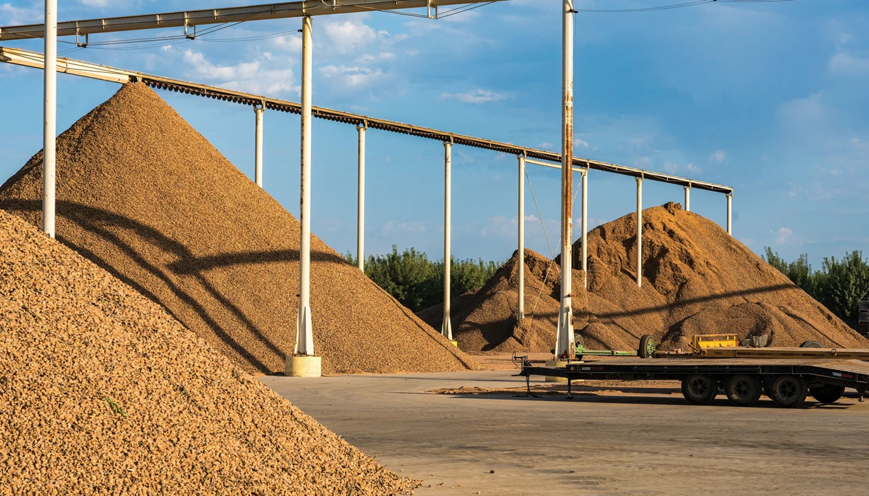 California’s almond waste could help clean up its winery wastewater