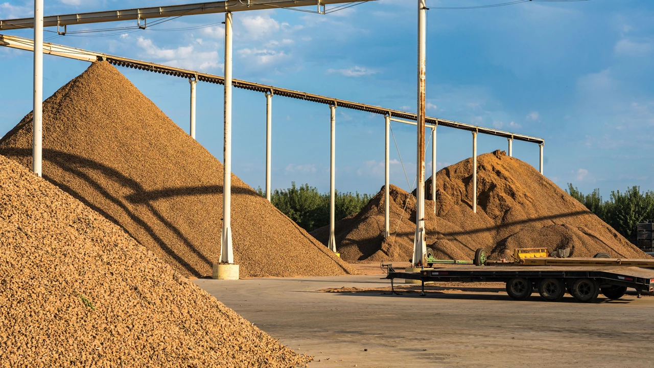 California’s almond waste could help clean up its winery wastewater