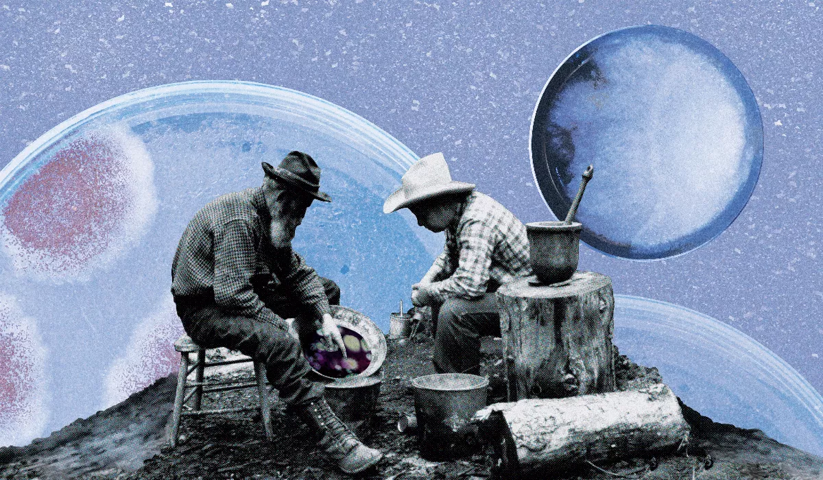 Bioprospectors mine microbial genomes for antibiotic gold