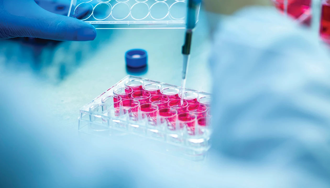 Handheld test for urinary tract infections takes 30 min