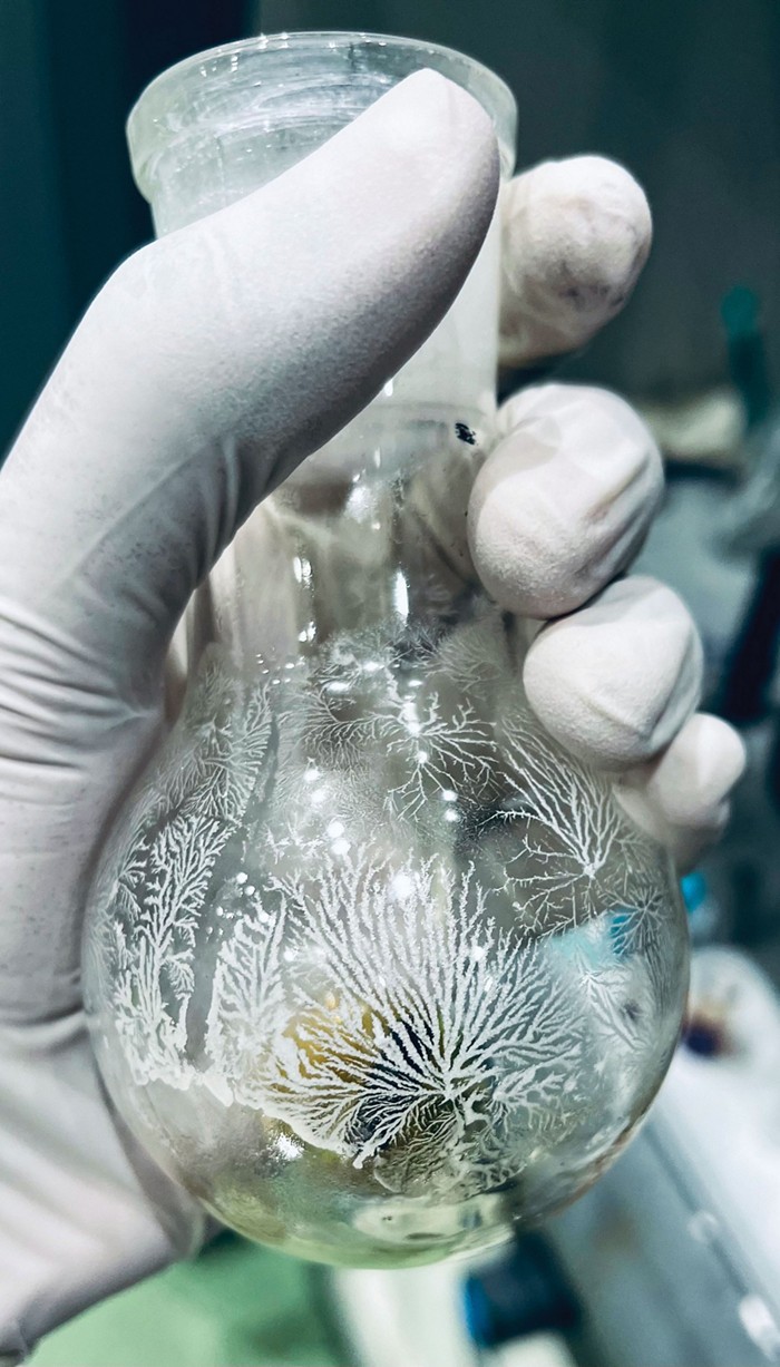 Chemistry in Pictures: Coralline crystals