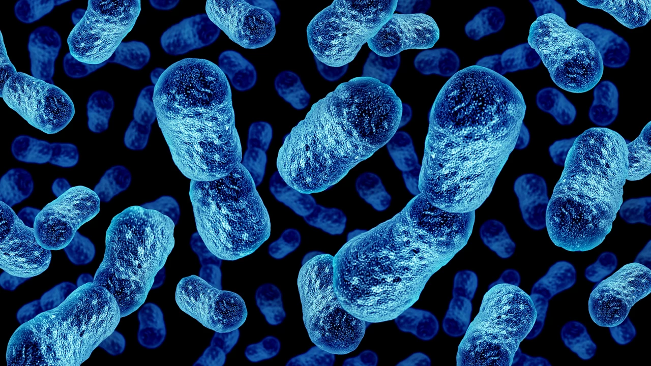Direct-to-consumer gut-microbiome companies cannot provide consistent ...