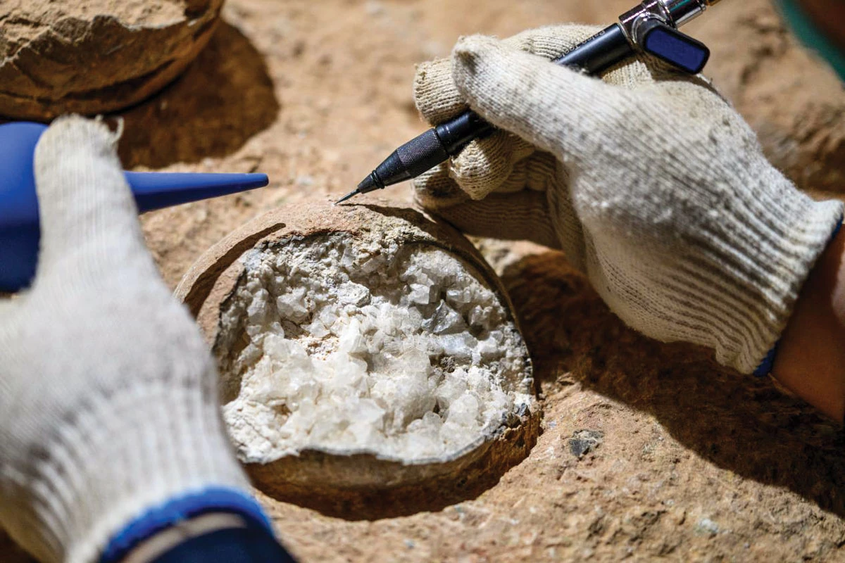 Chemists directly determine dinosaur eggs' age for the first time