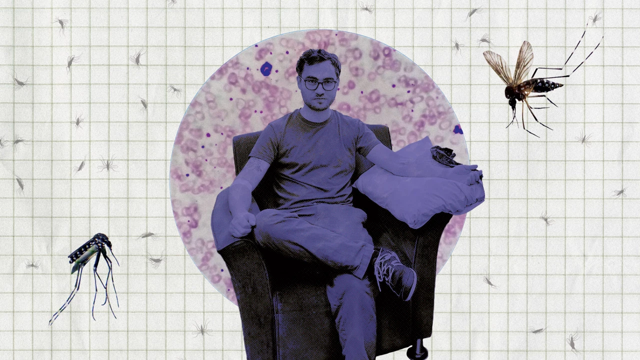 How do drug trials really work? I got dengue fever to find out