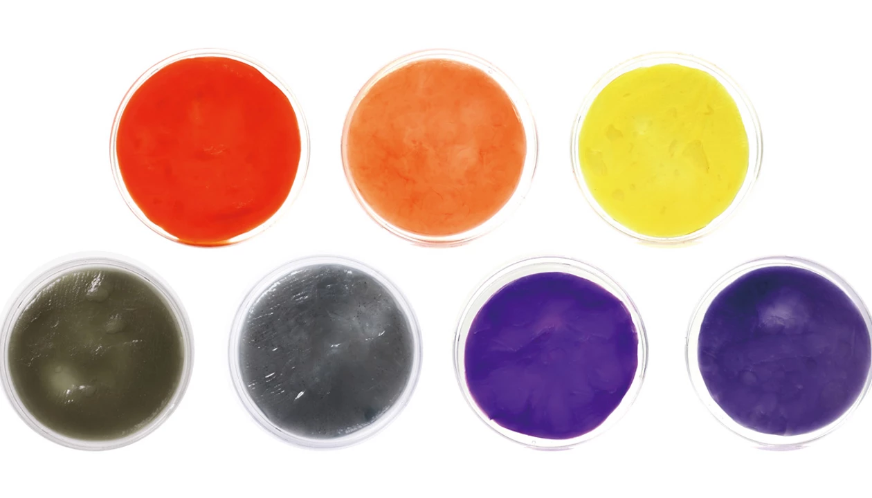 A bacterial coculture produces cellulose in 7 different colors