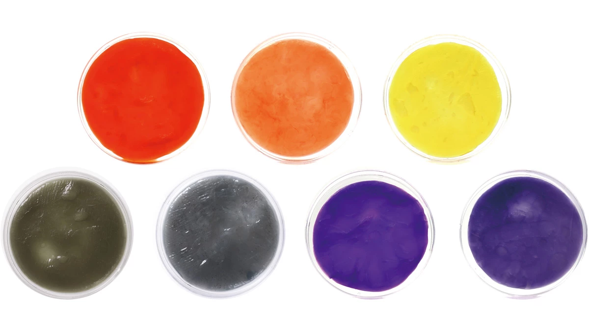 A bacterial coculture produces cellulose in 7 different colors