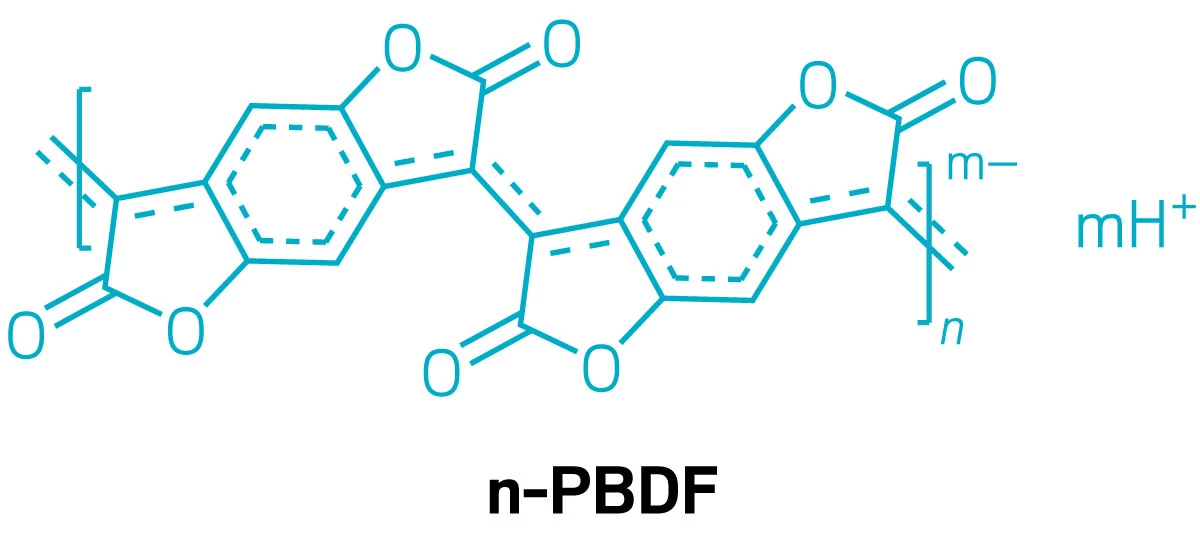 Blood proteins can help build conductive polymers in the brain