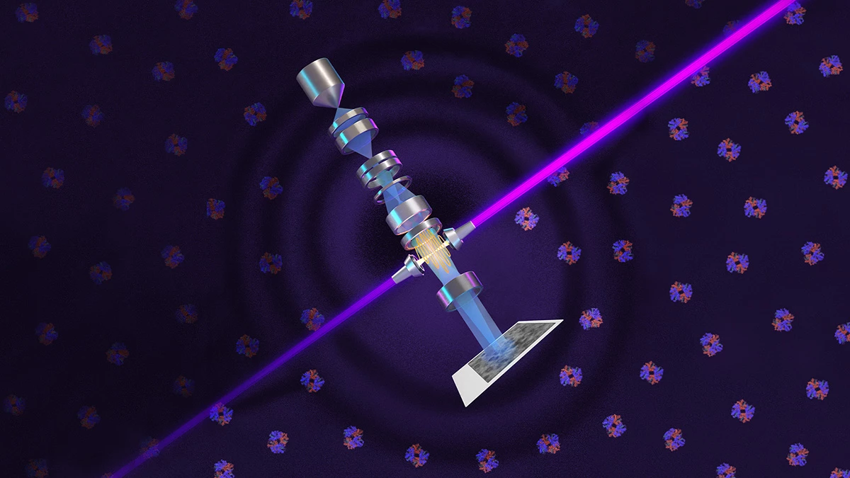 A new, ultrabright laser powers a cryo-EM advance 15 years in the making