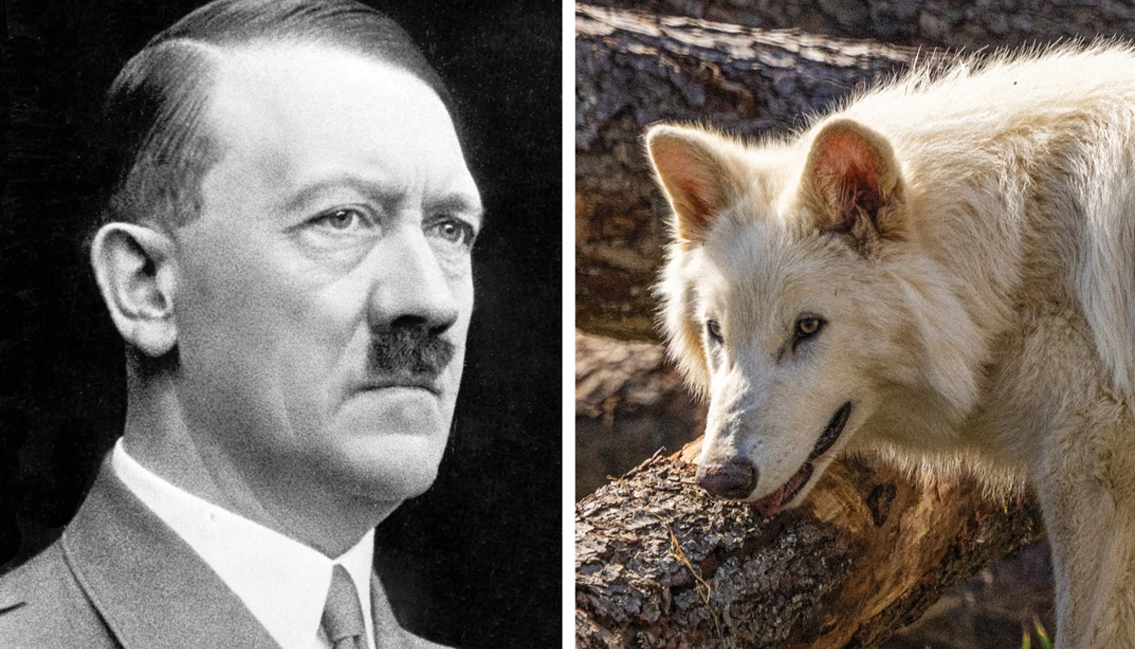 What Hitler’s DNA and the dire wolf teach us about science