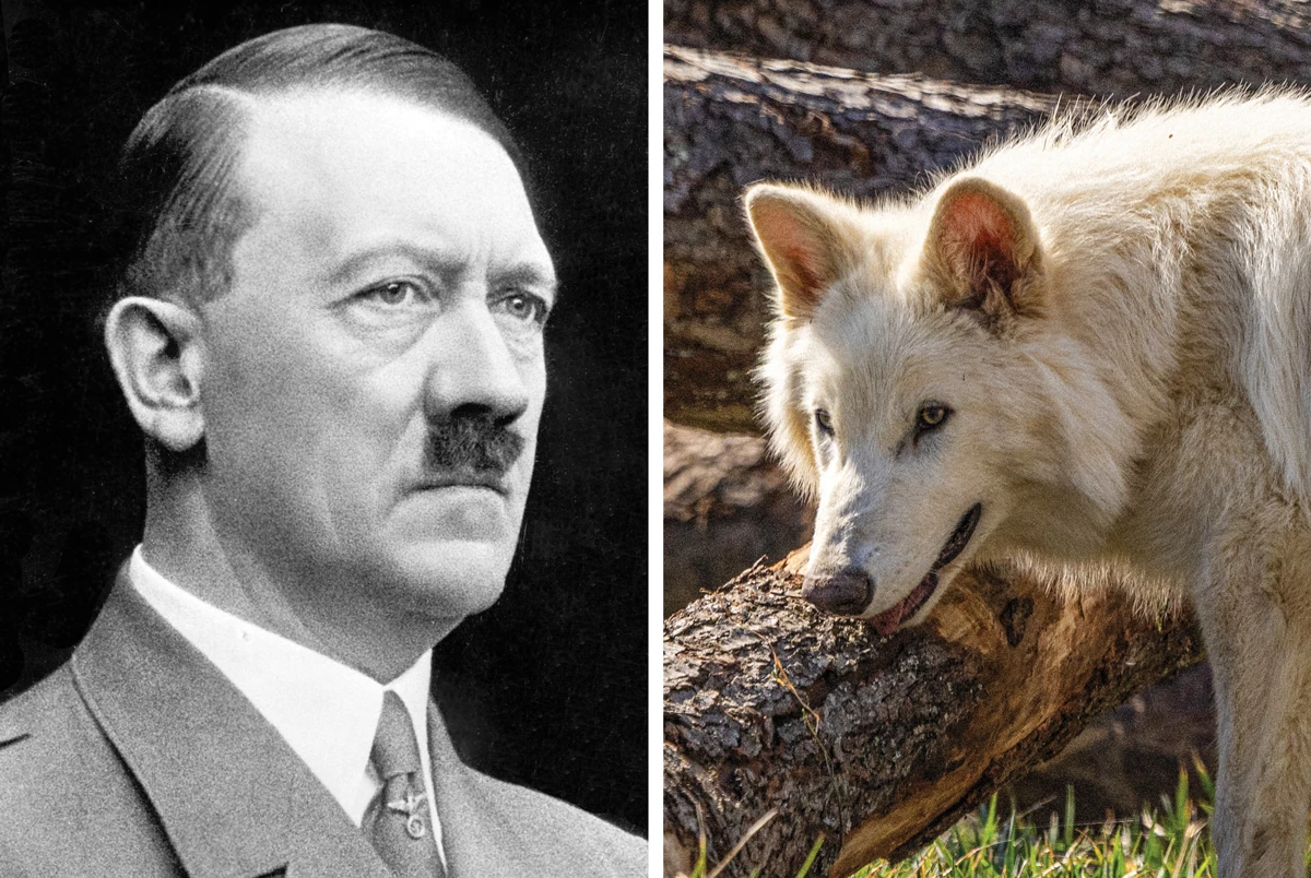 What Hitler’s DNA and the dire wolf teach us about science