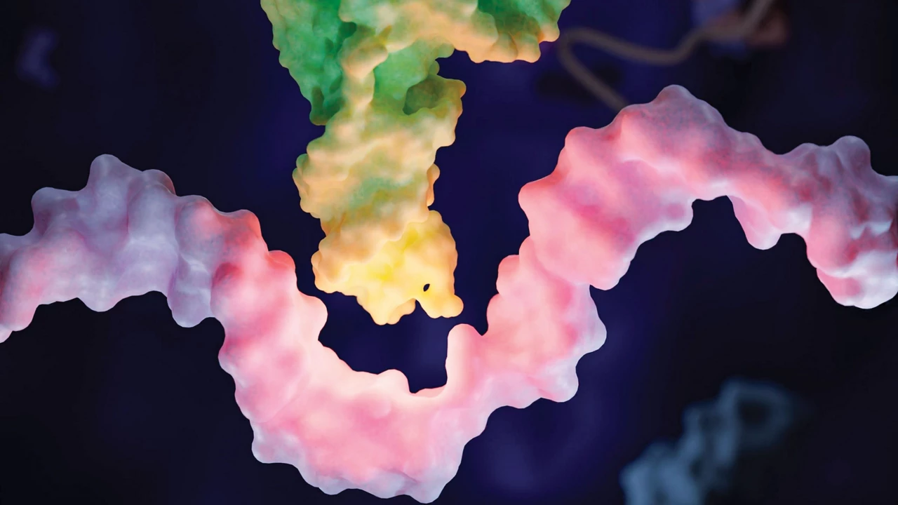 Prime editing suppressor transfer RNAs for gene therapy
