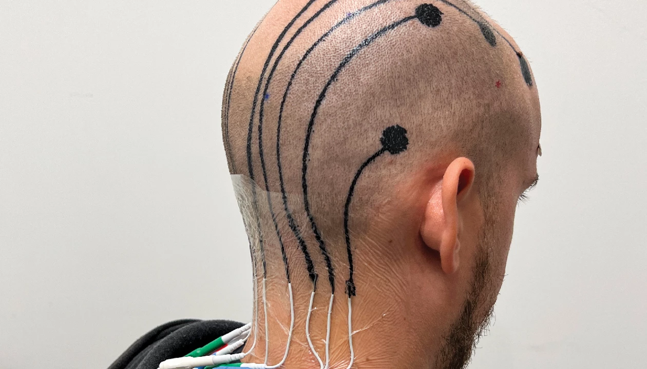 Hand-paintable electrodes to study the brain