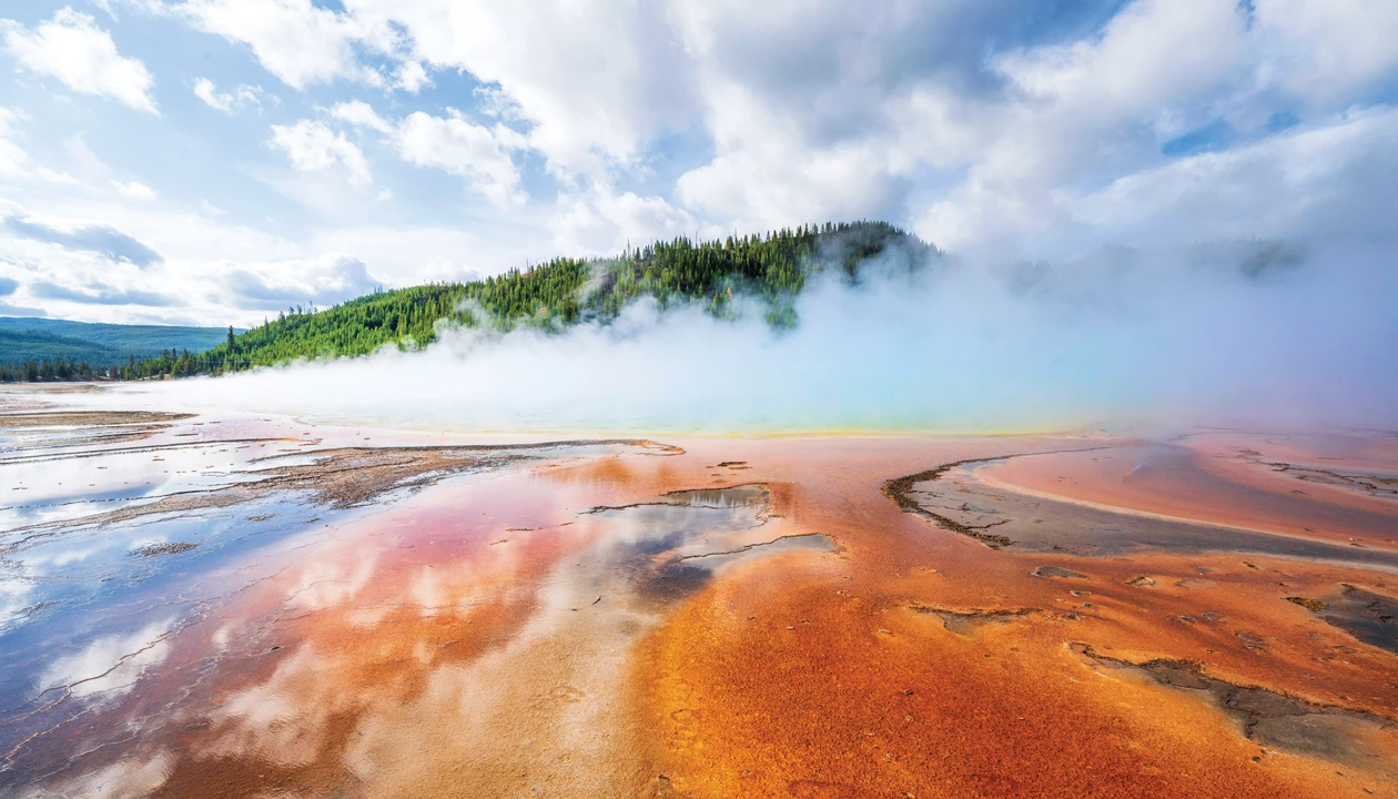 How RNA helped build life’s first proteins