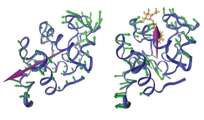 A-protein-dance-steps-affect-its-biological-function-study-shows