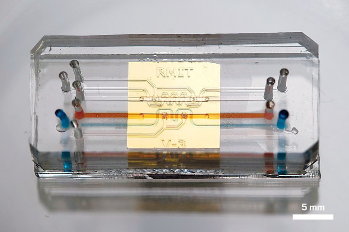 Sensing molecules released from single cells without labels﻿