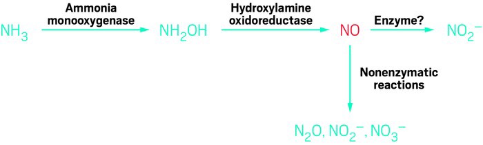 No2 No Reaction CEMS 101: NOx Analyzers