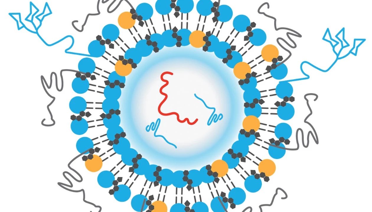 Lilly to acquire Verve Therapeutics for $1.3 billion