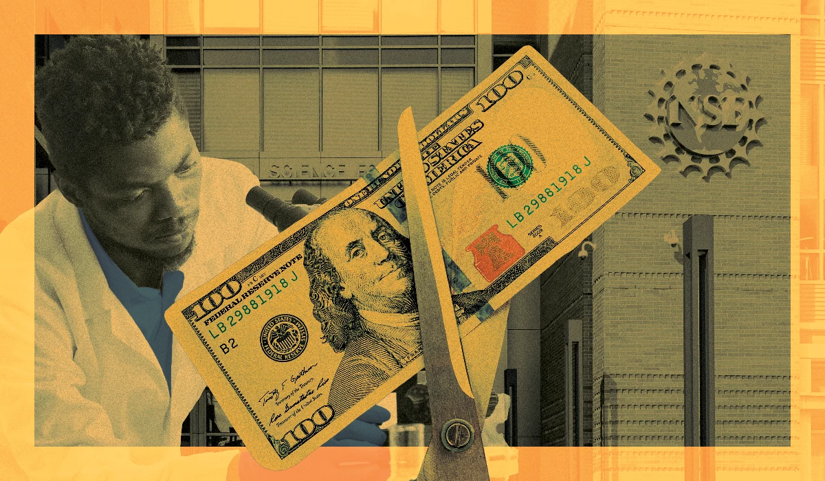 NSF halves graduate fellowship awards