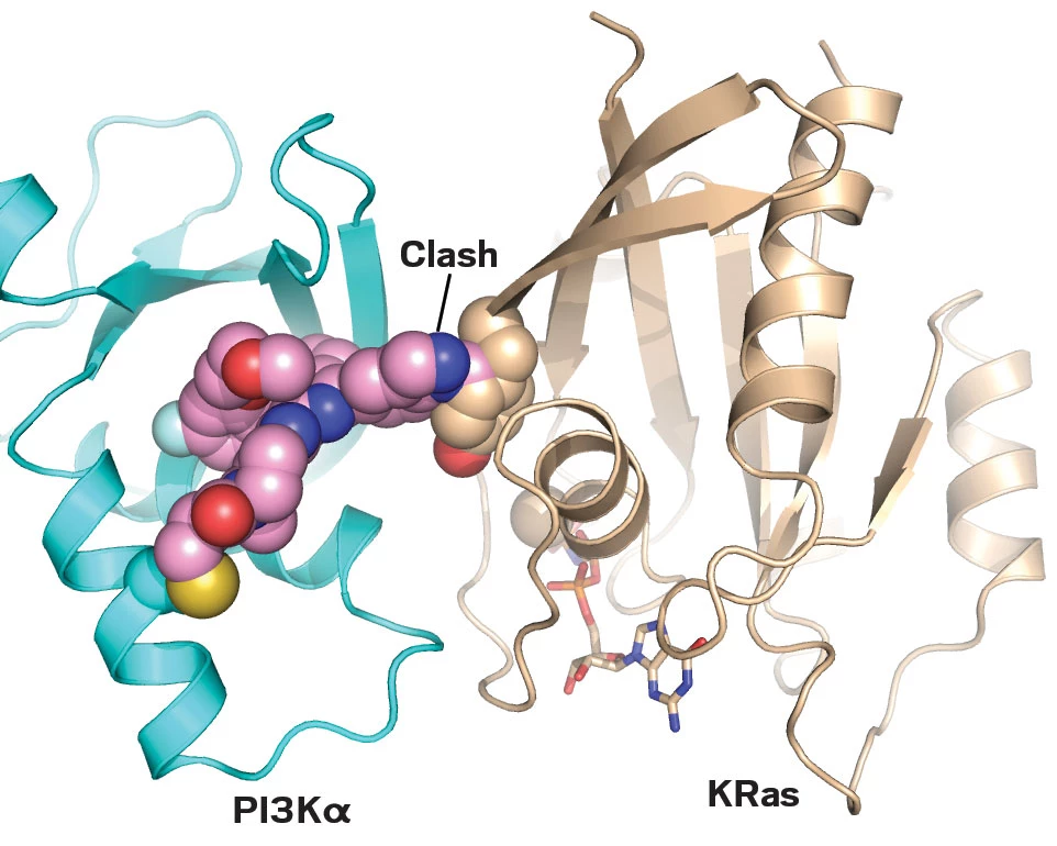 A breakup strategy that’s inspiring clinical candidates for cancer