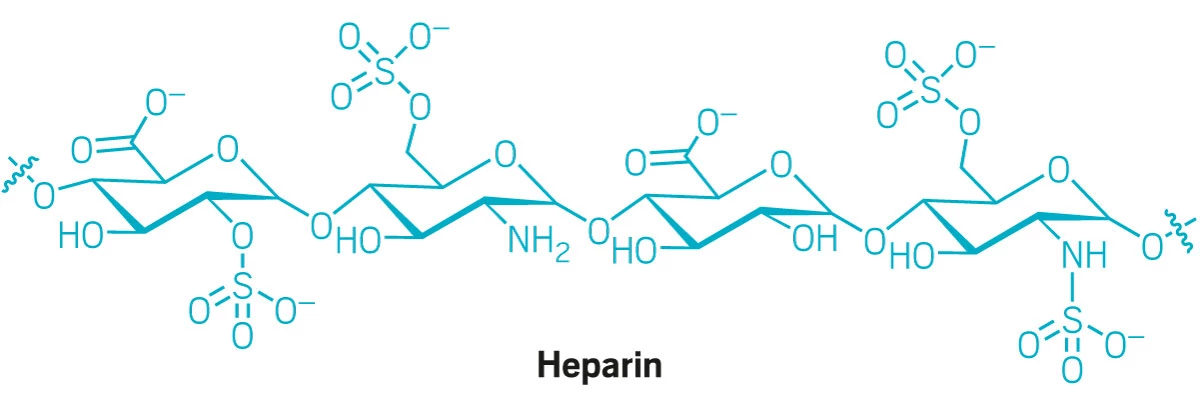Heparin synthesized using only enzymes