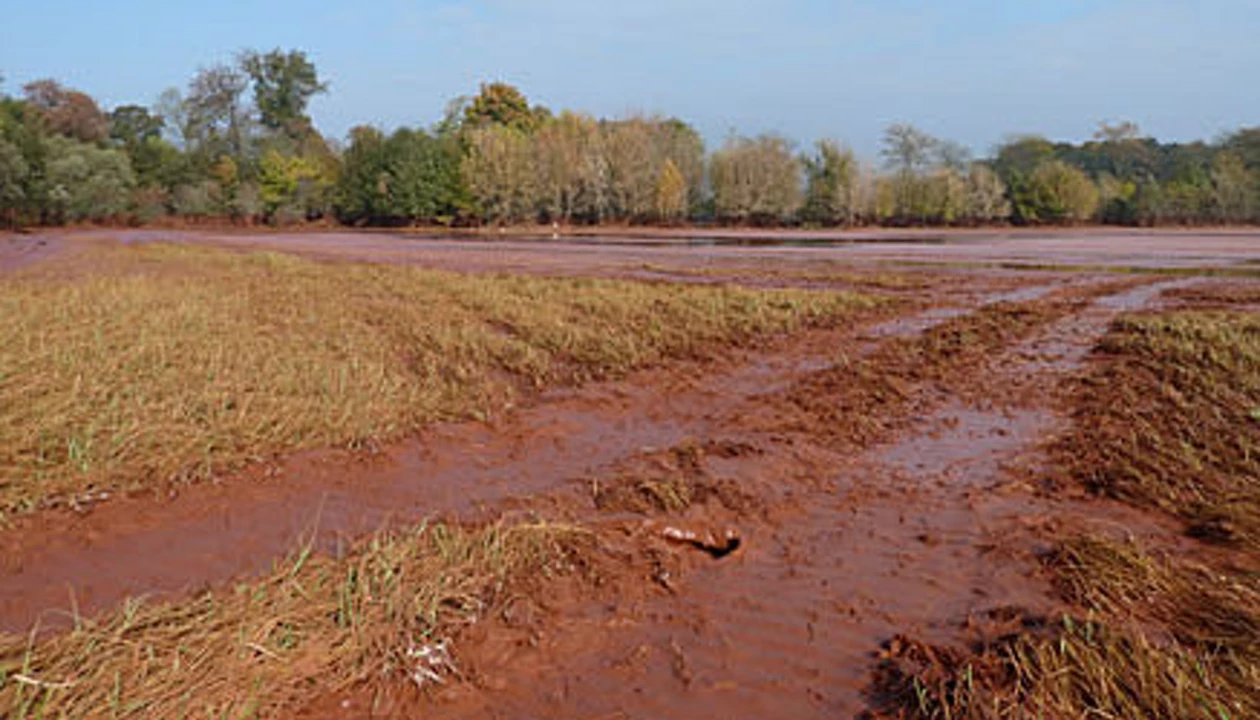 Hungary's Red Mud Catastrophe Packs A Punch On Plants