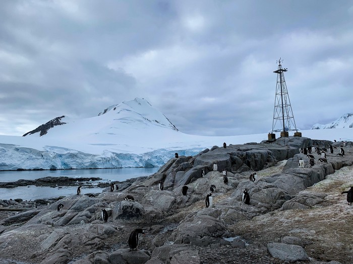 Penguin poop spurs cloud formation in Antarctica