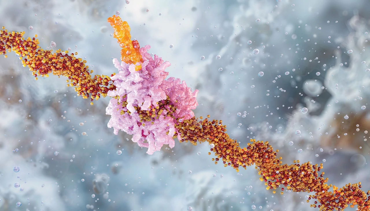 When protein translation fails, mechanical forces can determine how a ...