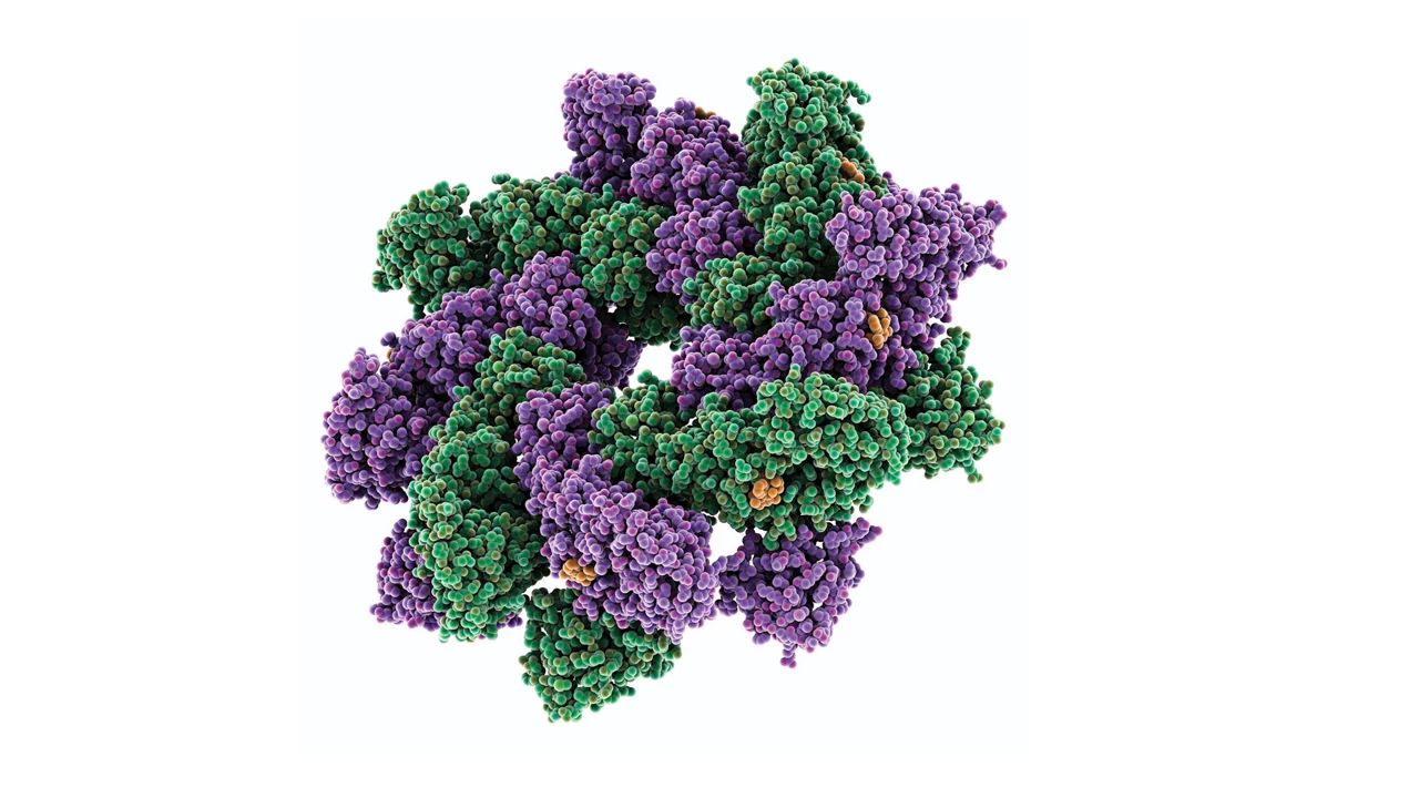 SARM1 inhibitors enter clinical trials for ALS, neuropathy