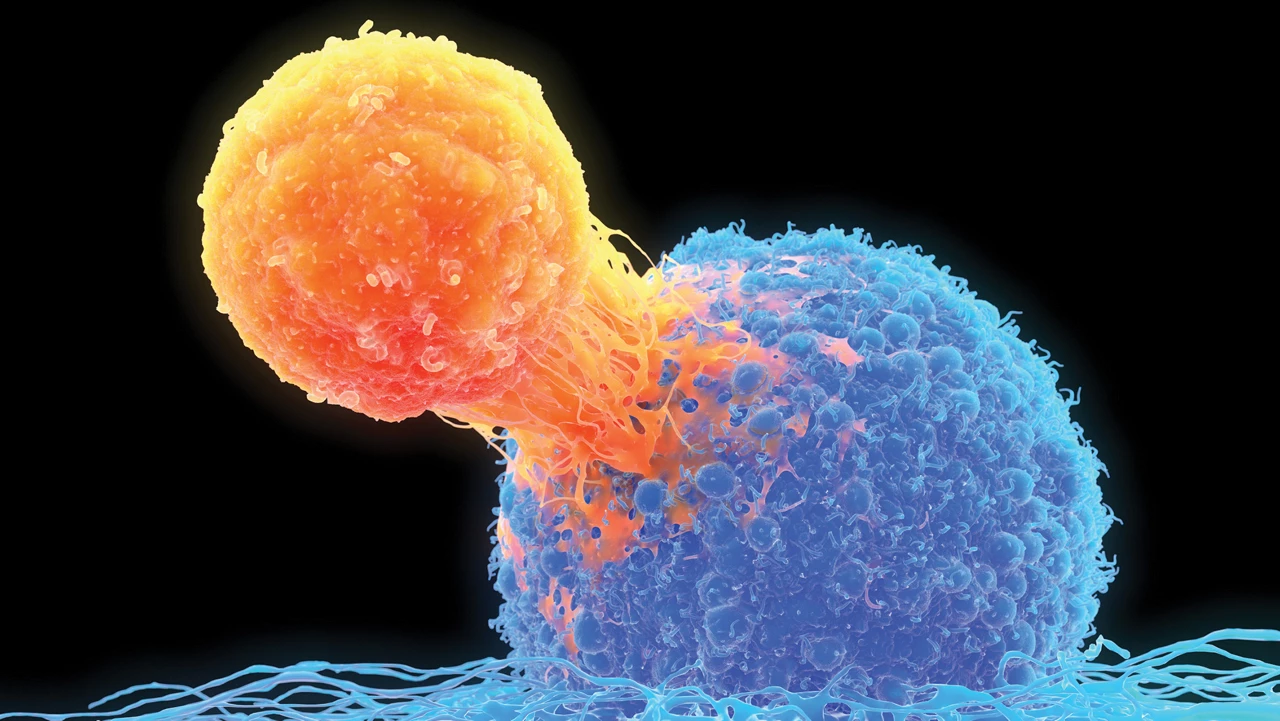 Dimensions of drug delivery: Why architecture matters in nanomedicine