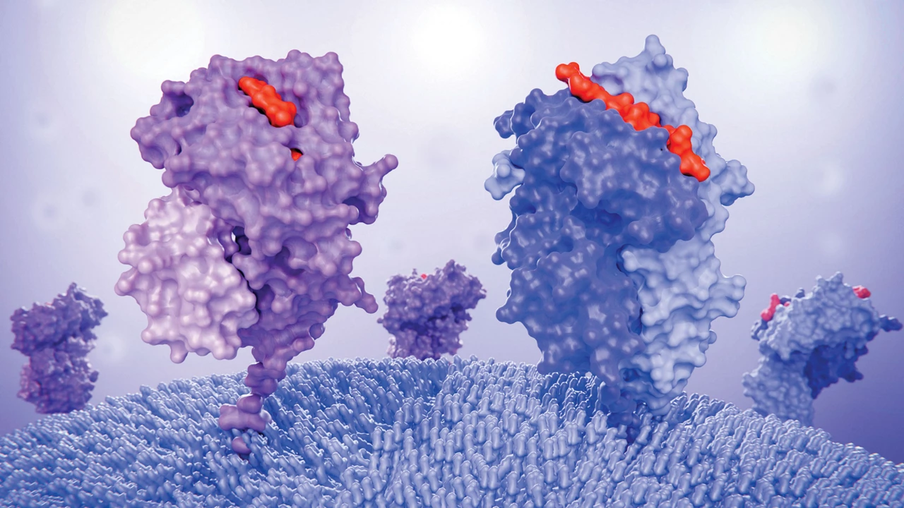A targeted protein degrader that doubles as a cancer vaccine