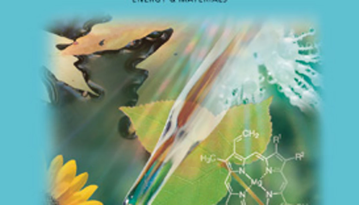 Wiley-VCH To Launch Sustainable Chemistry Journal