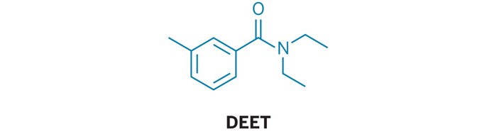 Molecular-Target-Discovered-DEET-Bug