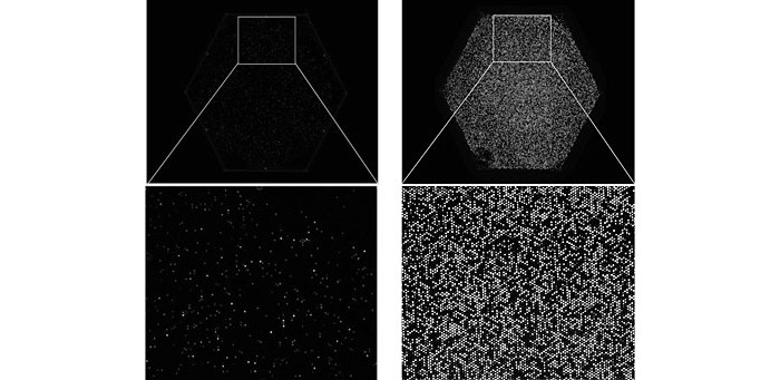 Wide-Open-Dynamic-Range