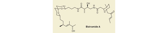 Natural-Products-Target-Identified