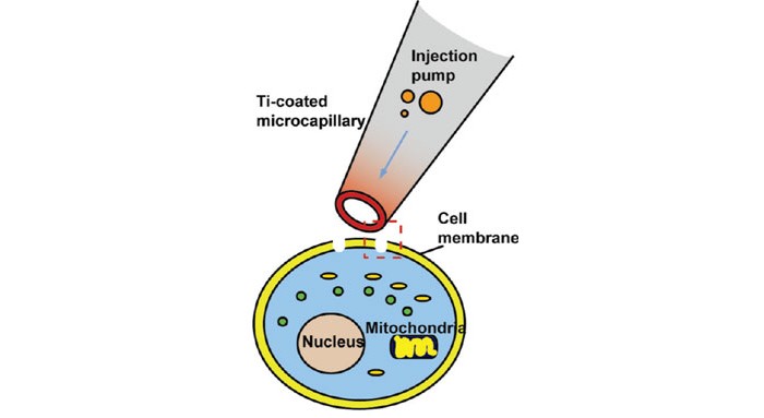 Cargo-Delivery-Cells-Supersized