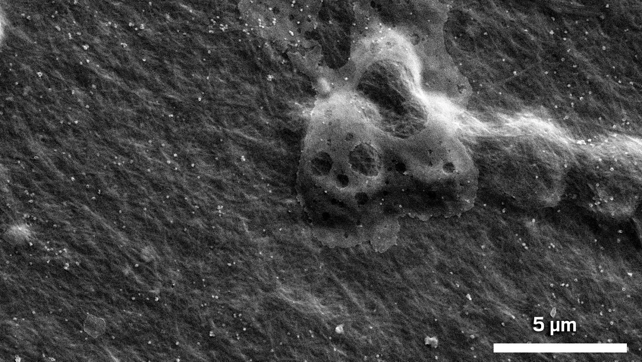 Chemistry in Pictures: Supernatural or supramolecular?