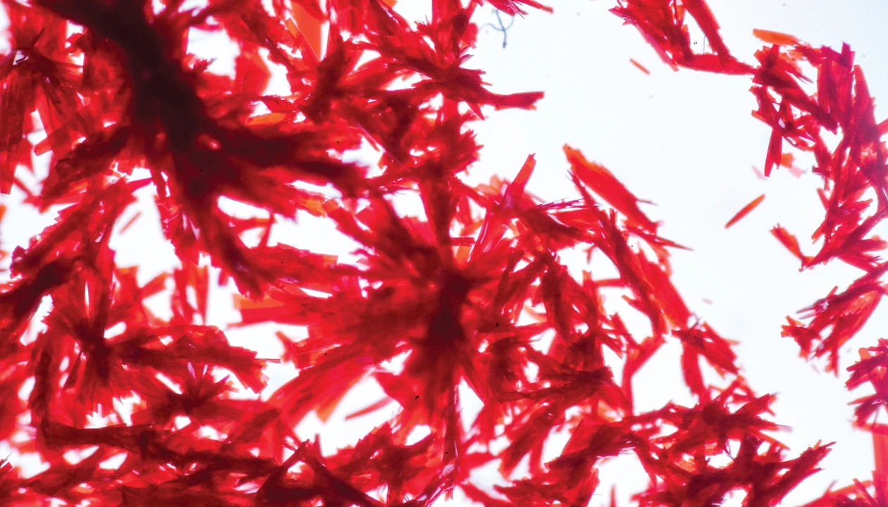 Chemistry in Pictures: Ruby shards