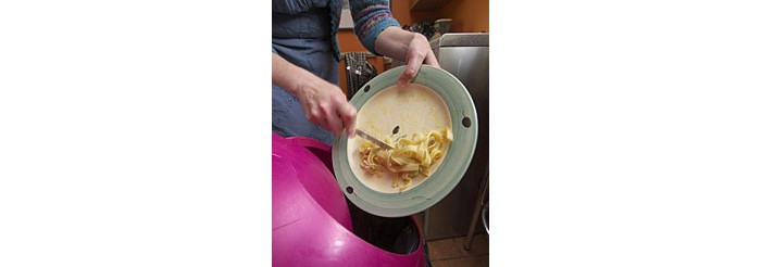 Clean-Plate-Save-Energy