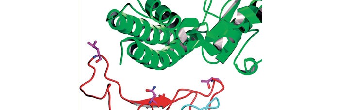 Tracing-SARSs-Jump-Humans