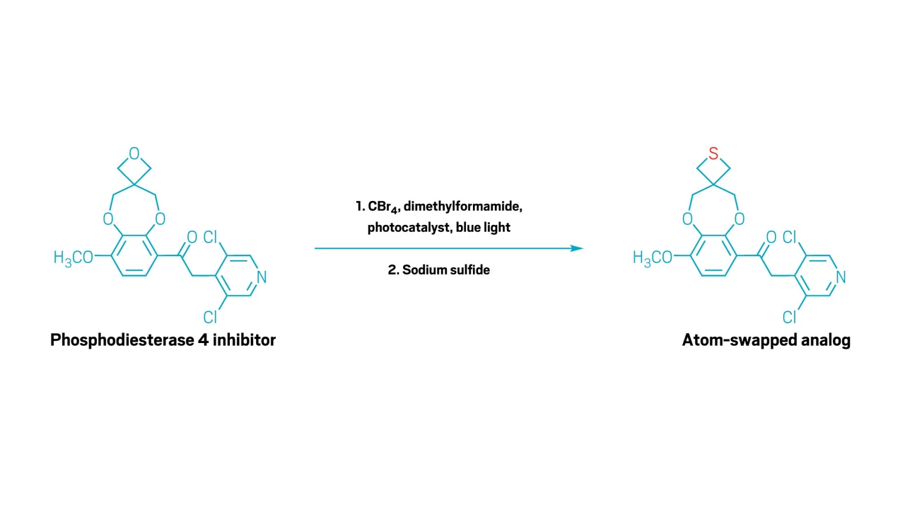 Atom swap unlocks a world of 4-membered rings