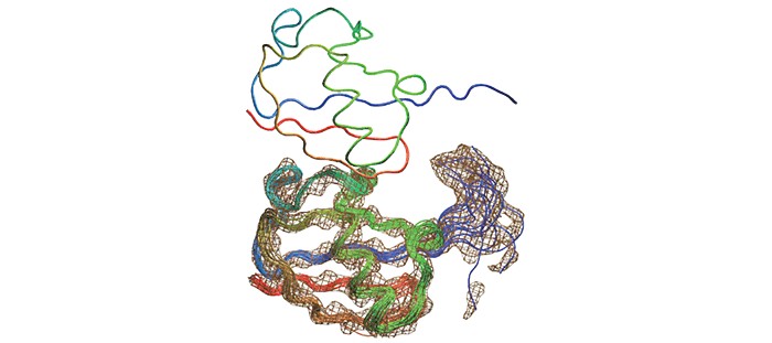 Protein-Structure-Wed-Dynamics