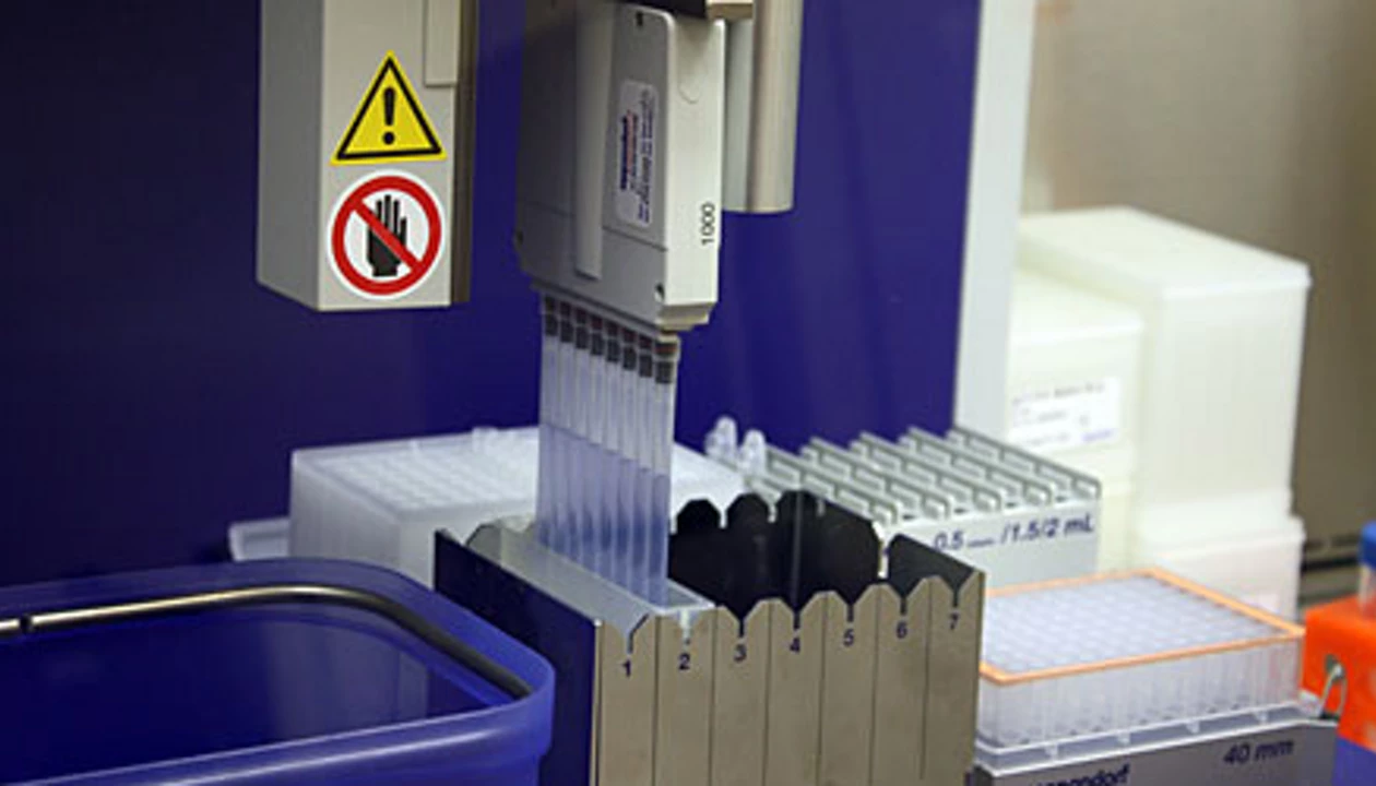 Most Plastics Release Estrogenic Chemicals
