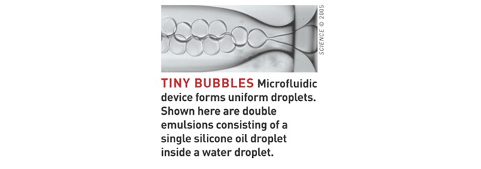 Droplets-Inside-Droplets