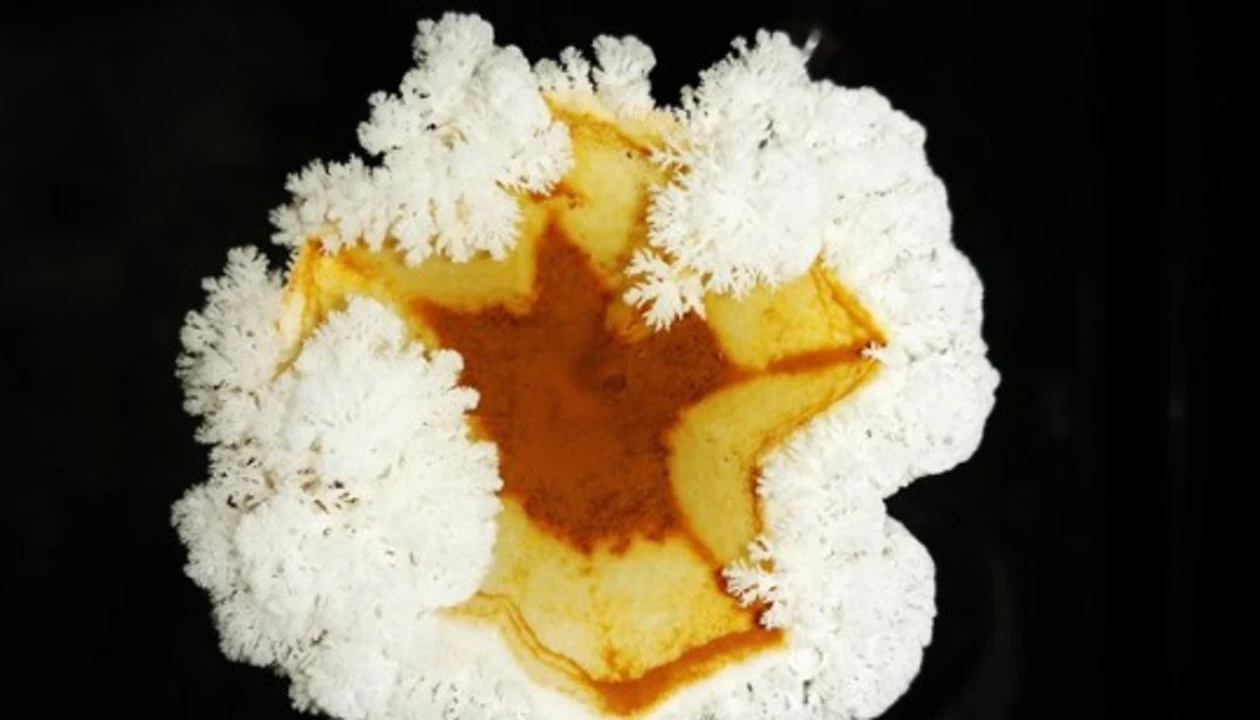 Chemistry in Pictures—An icy surprise