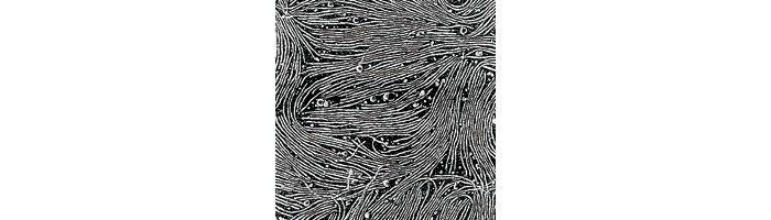Using-viruses-make-nanowires
