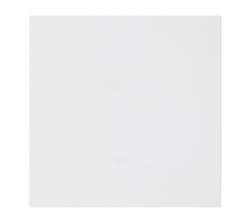 Dummy Cover Plate | Honeywell