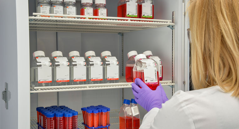 Laboratory Freezers | Thermo Fisher Scientific - HK