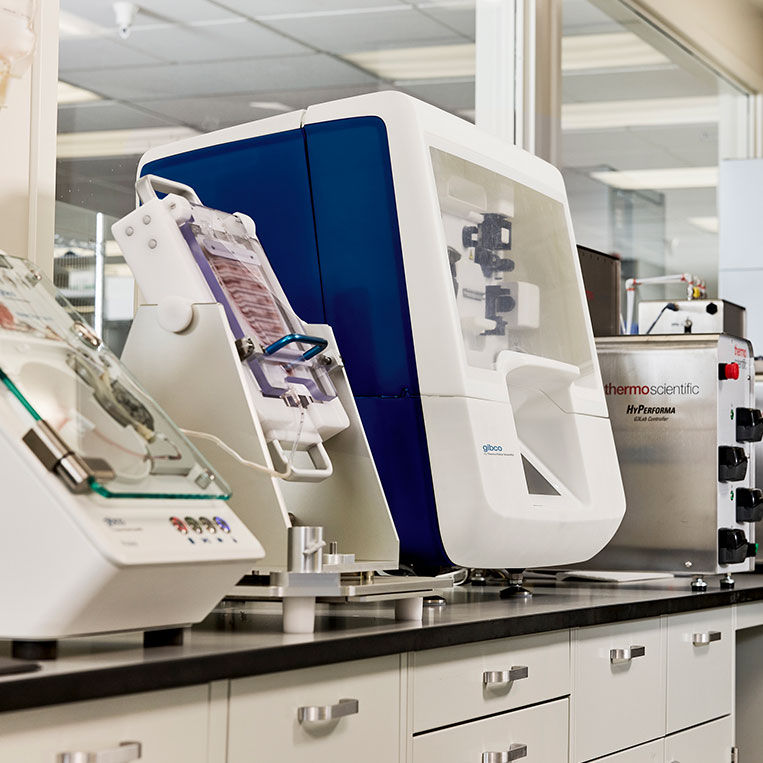 CTS Xenon Electroporation System Accessories | Thermo Fisher Scientific ...