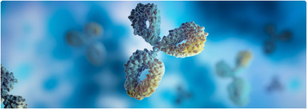 Biotechnology Business and Innovation Solutions | Thermo Fisher ...